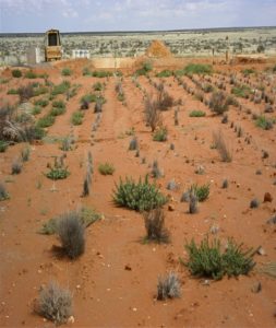 Radioactive Waste Disposal Compliance - National Radioactive Waste ...