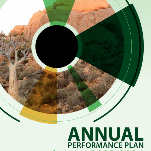 Annual Performance Plan 2024-2025 - National Radioactive Waste Disposal ...